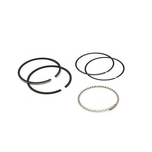 مشخصات، قیمت و خرید رینگ موتور مگان ۲۰۰۰ | رنو یدک